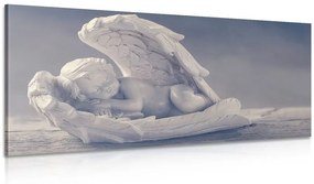 Obraz spící andílek - 100x50 cm