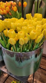 Kytice 7ks žlutých realistických tulipánů - 31cm