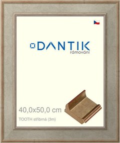 DANTIK rámeček 40x50 | TOOTH stříbrná (Sklo Čiré)