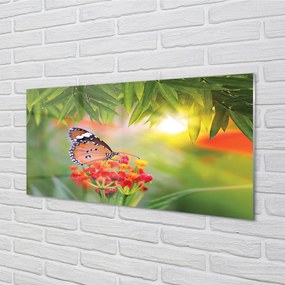 akrylový obraz Barevný motýl květiny 125x50 cm