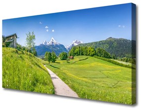 Obraz na plátně Hory Louka Stezka Údolí 125x50 cm