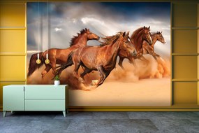 Malvis ® Tapeta Koně na poušti Vel. (šířka x výška): 216 x 140 cm