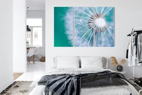 Vícedílný obraz Pampeliška V Makro Měřítku Nedostatek Nedostatek Plátno Canvas 60x40