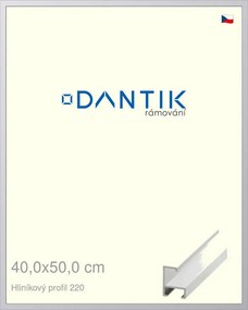 DANTIK rámeček 40x50 | ALU profil 6220 Bílá matná (Sklo Čiré)