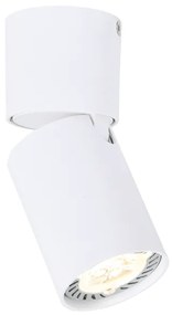 ACA DECOR Stropní bodové svítidlo ELITIS max. 35W/GU10/230V/IP20, bílá barva