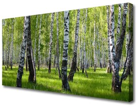 Obraz na plátně Les Příroda 140x70 cm