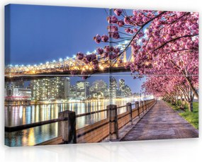 Obraz 120x80 Město noc most řeka sakura jaro panorama New York