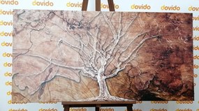 Obraz koruna stromu - 120x60 cm
