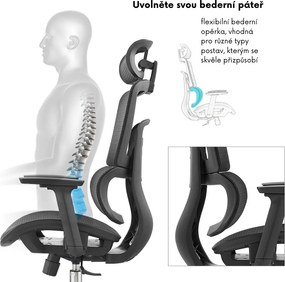 Kancelářská ergonomická židle Neoseat GARY FULLMESH — černá, nosnost 150 kg