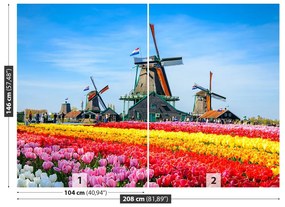 Fototapeta Tulipány Větrné mlýny 104x70