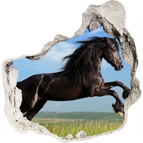 Wallmuralia Díra 3D fototapeta na stěnu Černý kůň na louce 75x75 cm