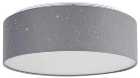 Rabalux | Rabalux - LED Stropní svítidlo LED/22W/230V šedá | RL3307