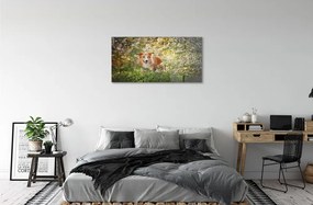 Obraz na skle Psí lesní květiny 120x60 cm