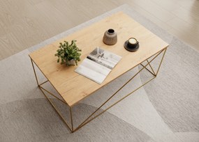 ADRK Furniture Konferenční stolek Dante CT-DAN-G-OL