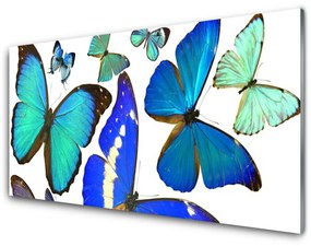 akrylový obraz Motýli Příroda 120x60 cm