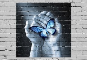 Fototapeta - Motýl na zdi (245x170 cm)