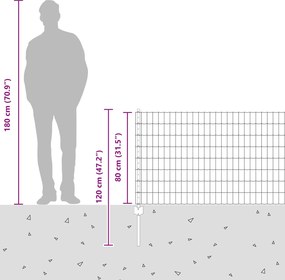 Euro plot s pilotem 25 x 0,8 m Pozinkovaná ocel Stříbrná 3336193