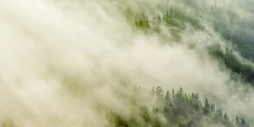 Obraz mlhavý les - 120x60 cm