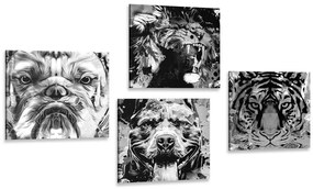 Set obrazů zvířata v černobílém provedení pop art stylu - 4x 60x60 cm