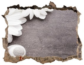 Wallmuralia Samolepící díra nálepka beton Gerbera 95x64 cm