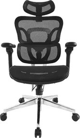 Equip Ergonomická kancelářská židle černá / Kancelářská židle / síťový