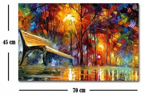 Reprodukce obrazu Leonid Afremov 082 45 x 70 cm