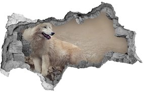 Wallmuralia Díra 3D fototapeta na stěnu Bílý vlk na skále 95x73 cm