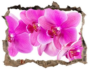 Wallmuralia Samolepící díra nálepka Růžová orchidej 95x64 cm