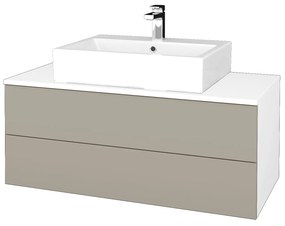 Dřevojas Koupelnová skříňka MODULE SZZ2 100 Varianta: N01 Bílá lesk / M05 Béžová mat