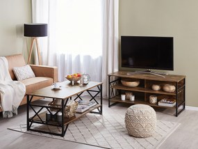 Televizní stolek z tmavého dřeva s černou, CARLISLE Beliani