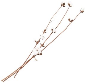 Bílo hnědá dekorační květina bavlník – 80 cm