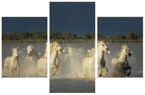Obraz bílých koní (90x60 cm)