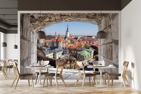 Malvis ® Tapeta Pohled na Tallinn Vel. (šířka x výška): 360 x 260 cm