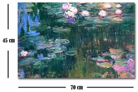 Nástěnná reprodukce na plátně Claude Monet, 45 x 70 cm