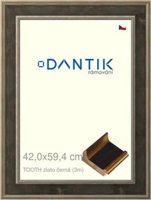 DANTIK rámeček 42x59,4 | TOOTH zlato černá (Plexi Čiré)