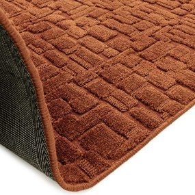 Koberec v terakotové barvě 200x290 cm – Asiatic Carpets