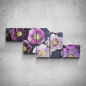 5-dílný obraz - Fialové květy - PopyDesign