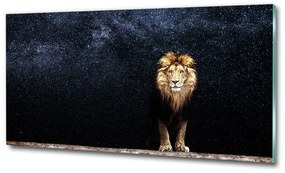 Wallmuralia Foto obraz sklo tvrzené Lev na pozadí hvězd 100x50