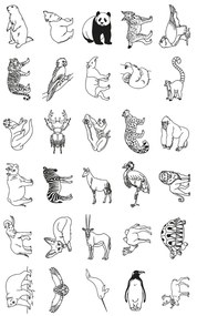Kidywolf - Kreslící tablet Kidydraw mini - Animals around the world