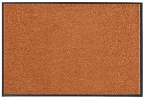 Hanse Home Collection koberce Rohožka Wash & Clean 101469 Orange Rozměry koberců: 40x60