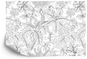 Fototapeta Leaves Příroda Samolepící tapety 450x300