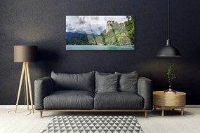 Plexisklo-obraz Zámek v Horách Les Krajina 100x50 cm