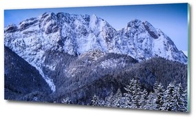 Wallmuralia Fotoobraz na skle Gievont Tatry 100x50