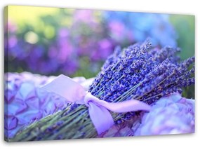 Obraz na plátně Levandulové květiny Příroda - 60x40 cm