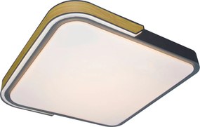 XXXLutz STROPNÍ LED SVÍTIDLO, 42/8,5/42 cm Rabalux - Stropní svítidla - 006264075101