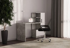 Počítačový stůl Standard, industriál / nymfea alba, pravá montáž