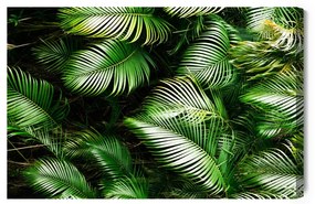 Obraz Zelené Palmové Listy Nedostatek Nedostatek Plátno Canvas 120x80