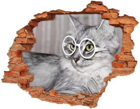 Wallmuralia Díra 3D fototapeta nálepka Kočka v brýlích 90x70 cm