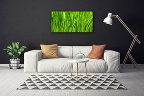 Obraz na plátně Tráva Rostlina Příroda 100x50 cm