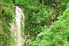 Obraz vodopád v lese Velikost (šířka x výška): 120x80 cm